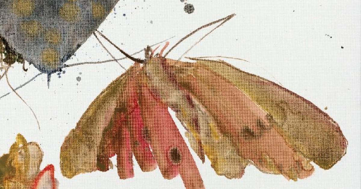 Publication: Allyson Reynolds - Moth Song | Rebecca Hossack Art Gallery